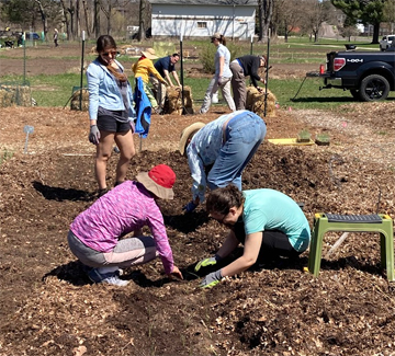 Forest Street Community - Shared Garden